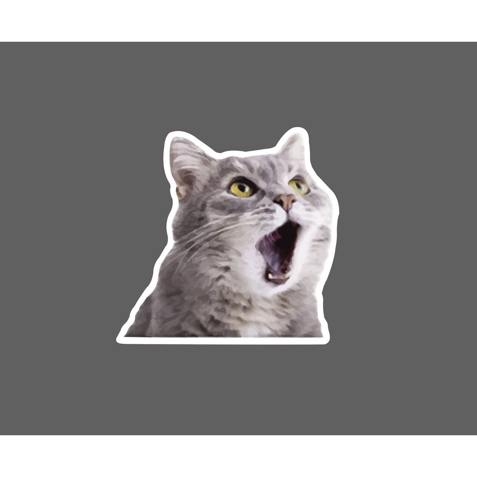 Surprised Cat Sticker Meme Funny – StickerDynasty