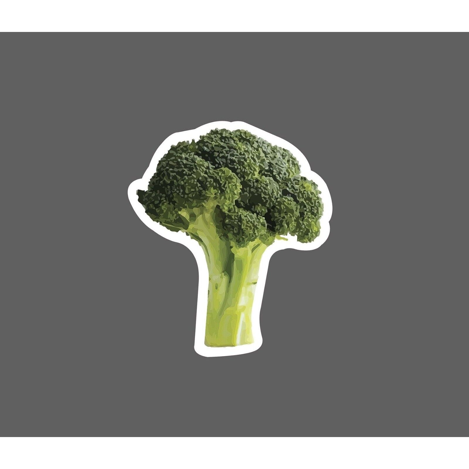 Broccoli Sticker Vegetable – StickerDynasty